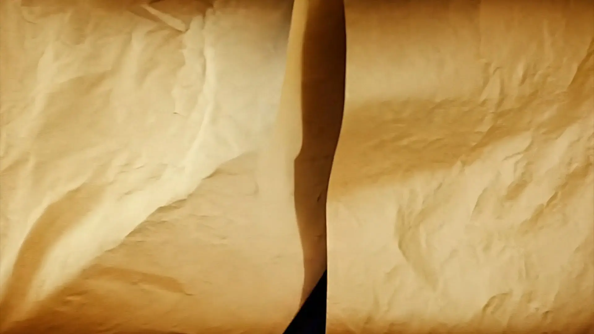 Aged Torn Paper Texture Transition For Logo Animation | Videos